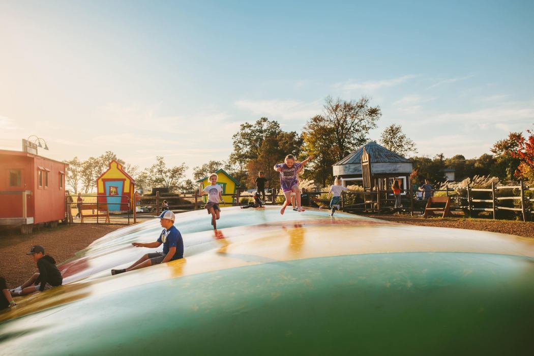 Melber KY Birthday Parties | Adventure Park at Talon Falls